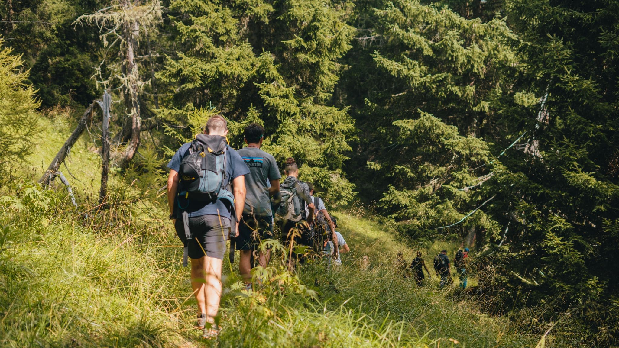 Why Nature-Based Team Building Outperforms Traditional Corporate Retre ...